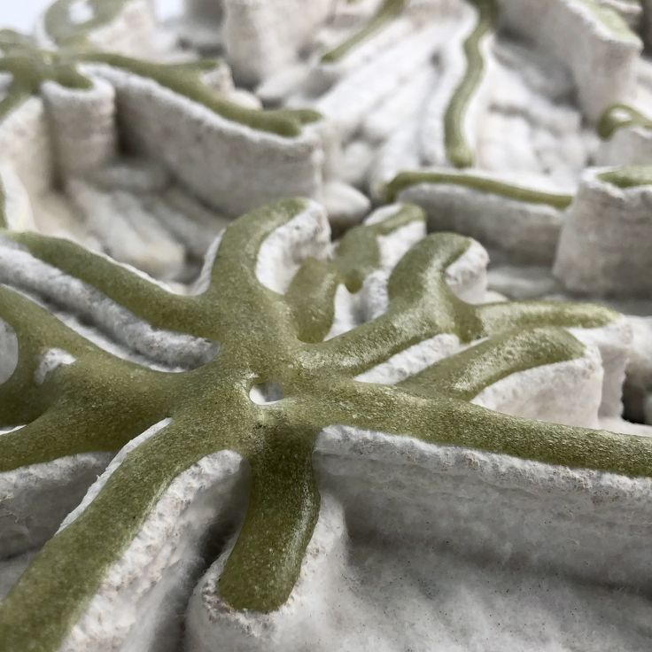 Bio-based | Material Source