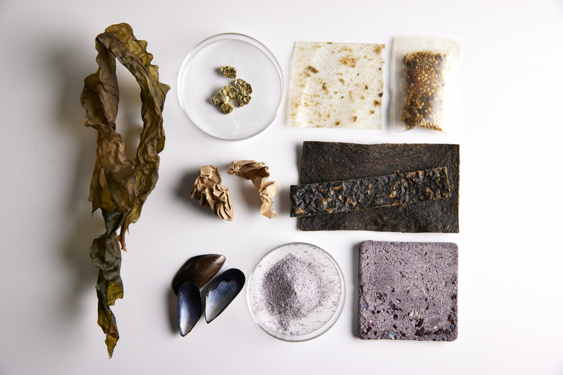 Graduate spotlight: Bio-designer and regenerative kelp farmer, Alex ...