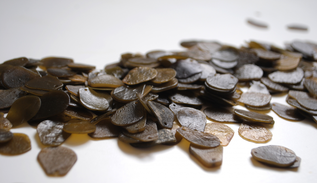 Meet the maker: Scottish seaweed based textile artist, Jasmine ...