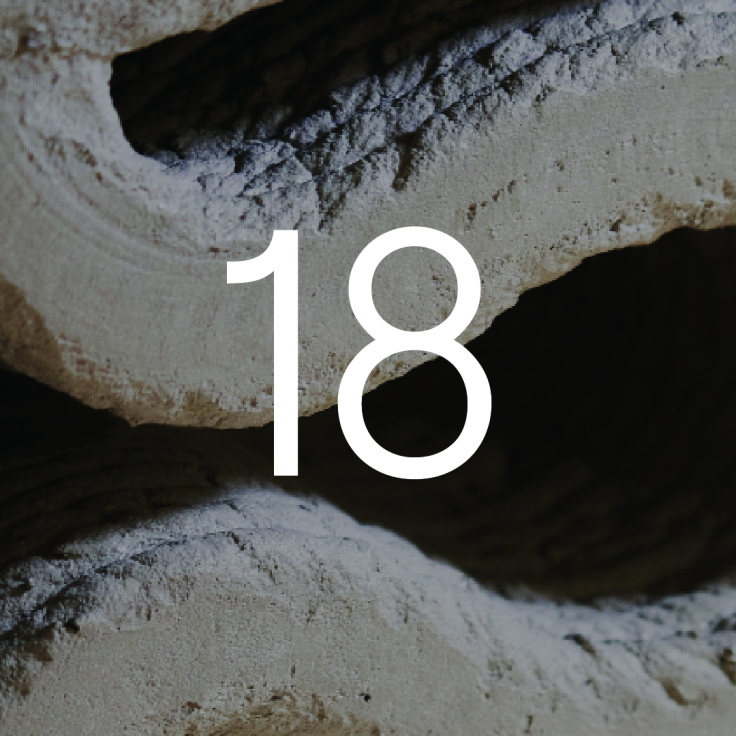 17. Myceen - Mycelium-based materials. | Material Source