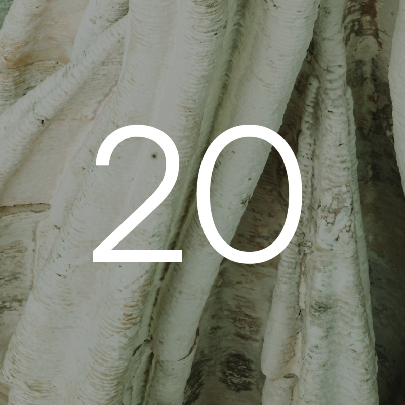 20. Blast Studio - Tree. | Material Source