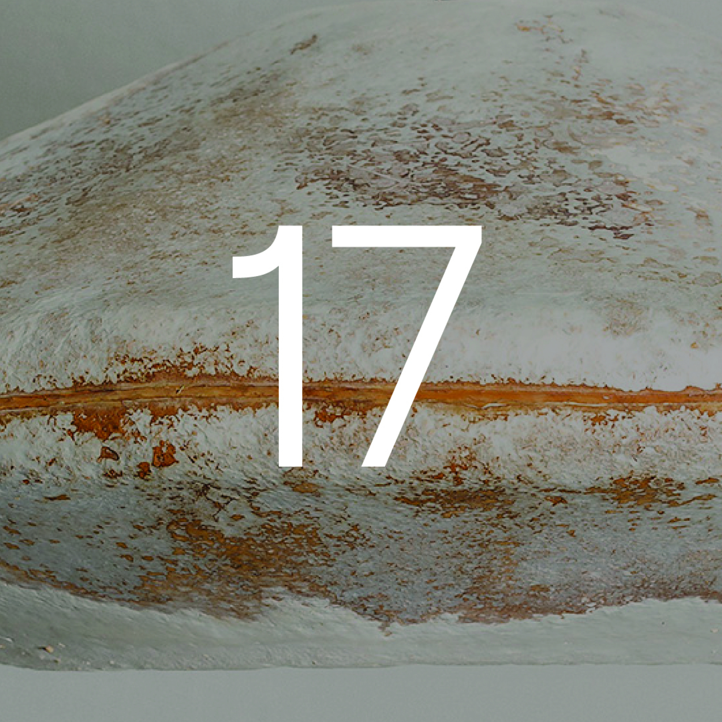 17. Myceen - Mycelium-based materials. | Material Source