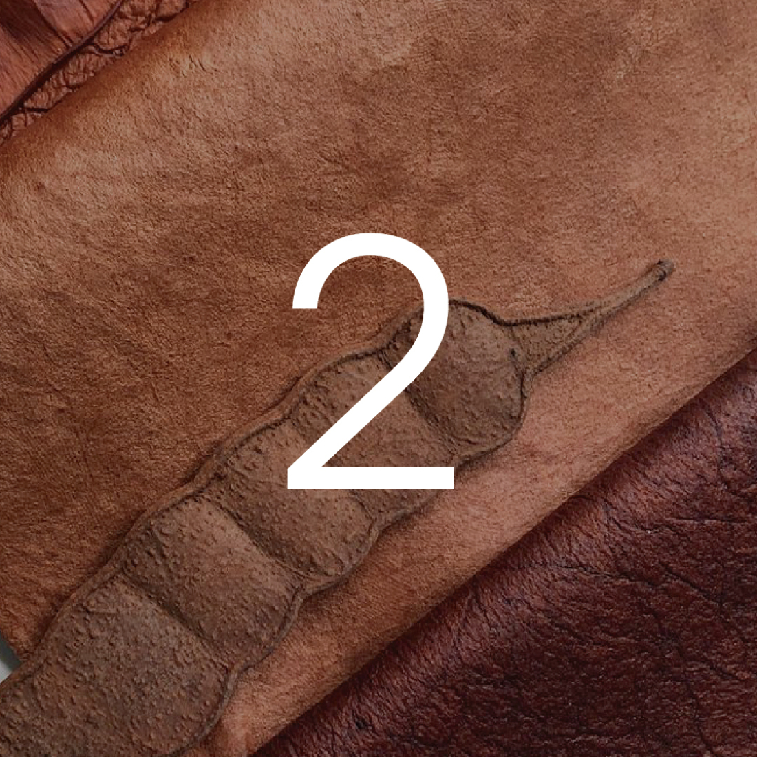 2. MABE Bio - Angico bioleather. | Material Source